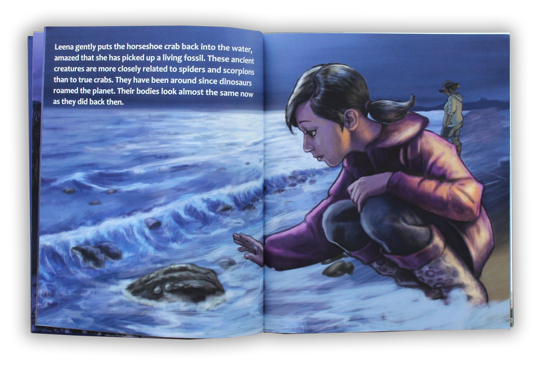 Moonlight Crab Count, by Dr. Neeti Bathala & Jennifer Keats Curtis, Il ...