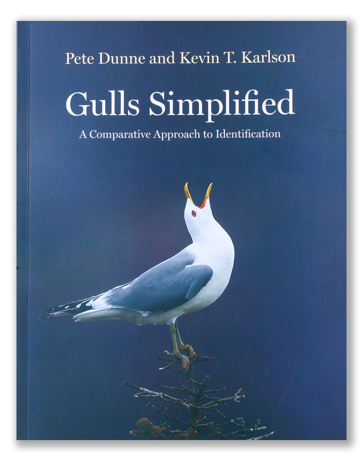 Gulls Simplified ID guide – Tidepool Shop